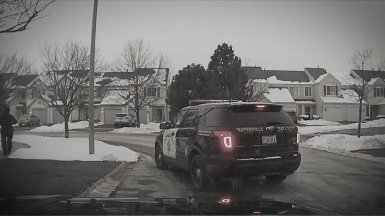Calls for change as 'swatting' incidents increase across Illinois