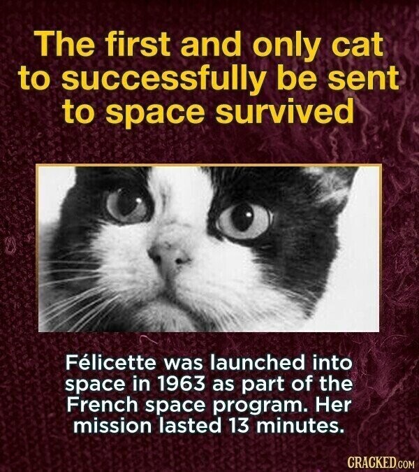 37 random things worth knowing on history and more