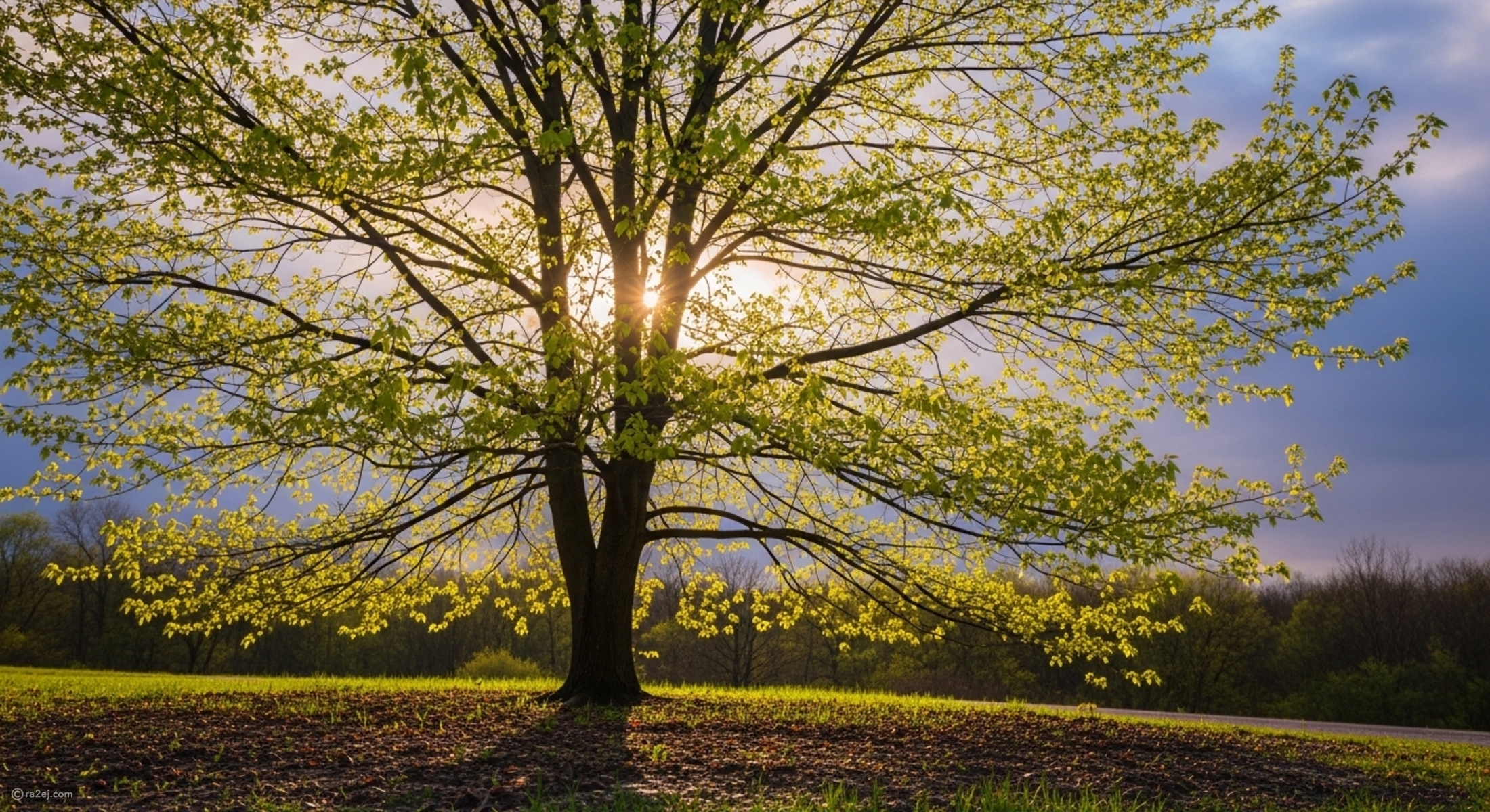 What it means to stay spiritually grounded during uncertain times