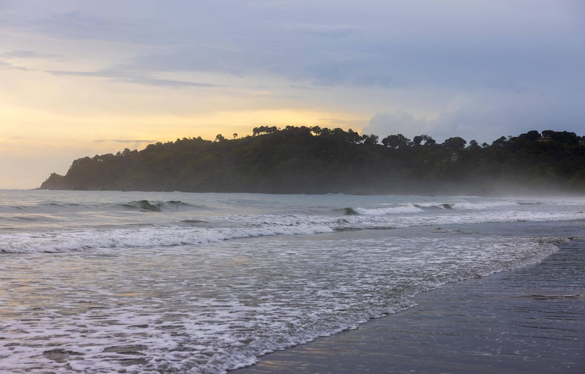 Kurt Van Dyke, légende du surf californien, est mort, étranglé et ...