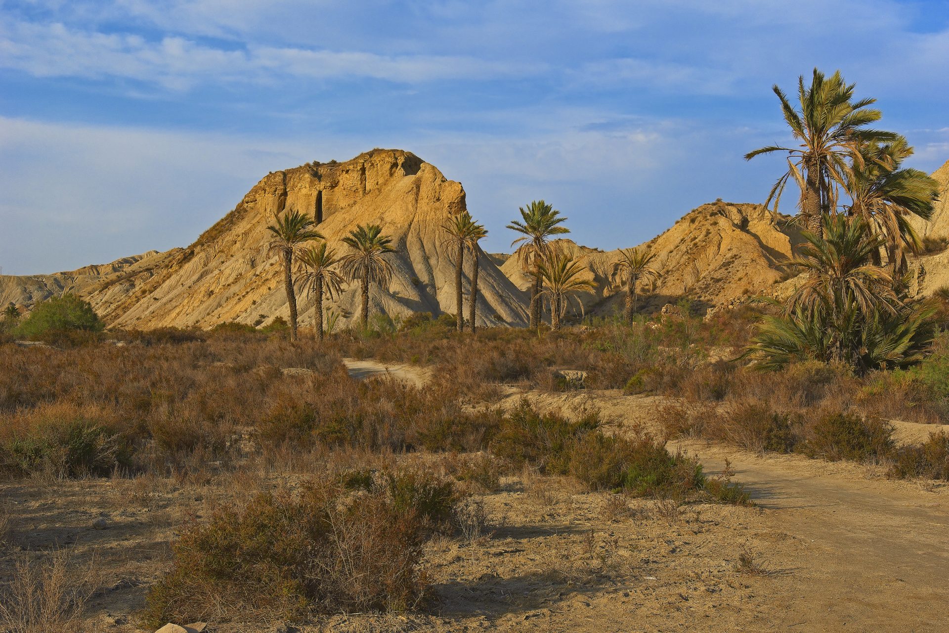 This is the largest desert on the European continent