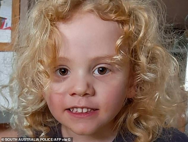 Gun charge against 75-year-old grandparent of missing Gus Lamont is ...