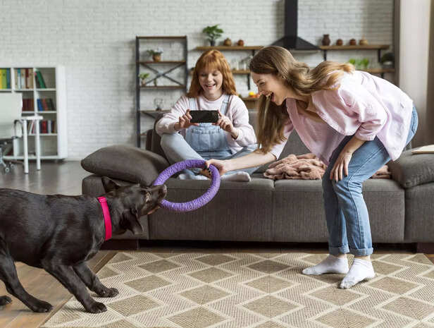 Born to protect: Why some dogs guard babies even without training