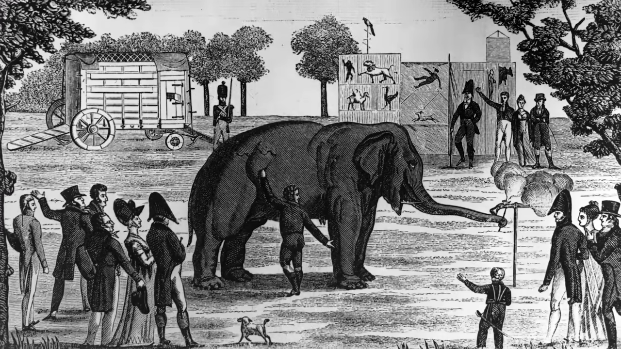 America’s favorite animals are basically a Victorian marketing list