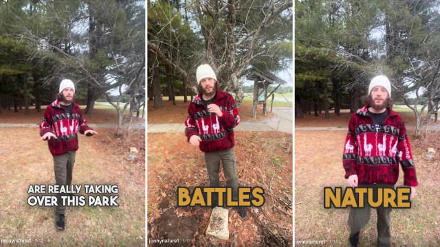 Man issues warning about harmful plant growing wild in US: 'They're ...