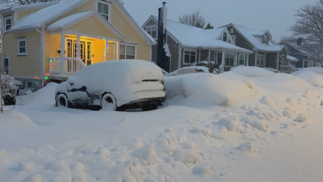 After big snow day, another 20 cm expected for St. John's area as ...