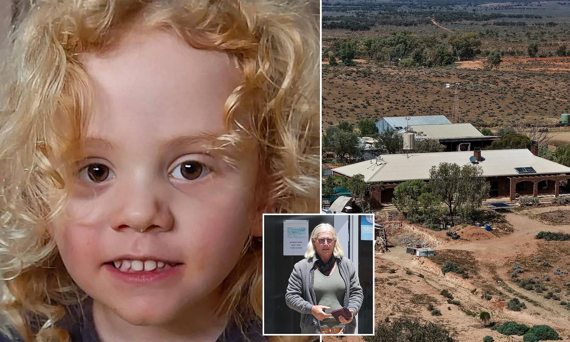 Gun charge against 75-year-old grandparent of missing Gus Lamont is ...