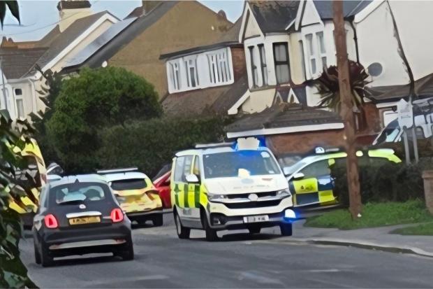 Multiple police cars and ambulances seen near park in south Essex village