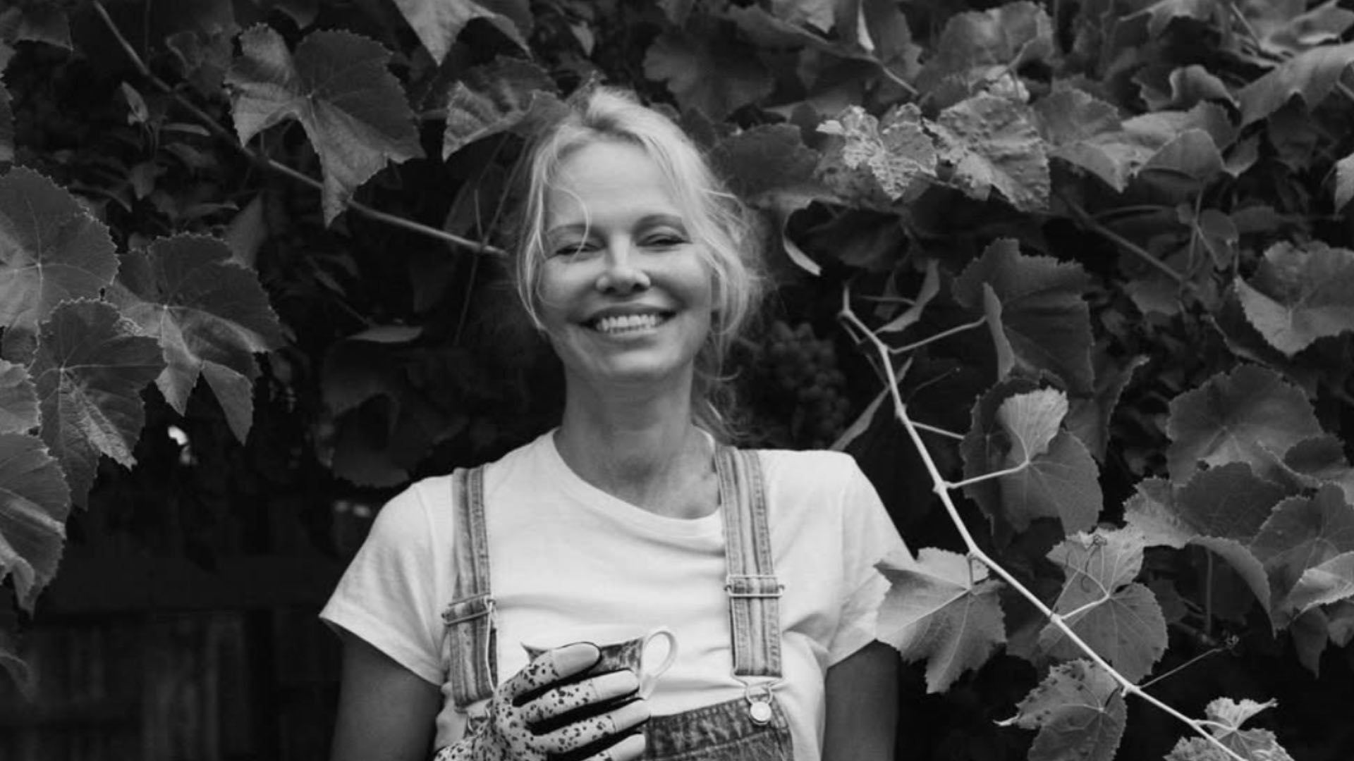 58-vuotias Pamela Anderson keksii lyhyen mekon uudelleen odottamattoman ...