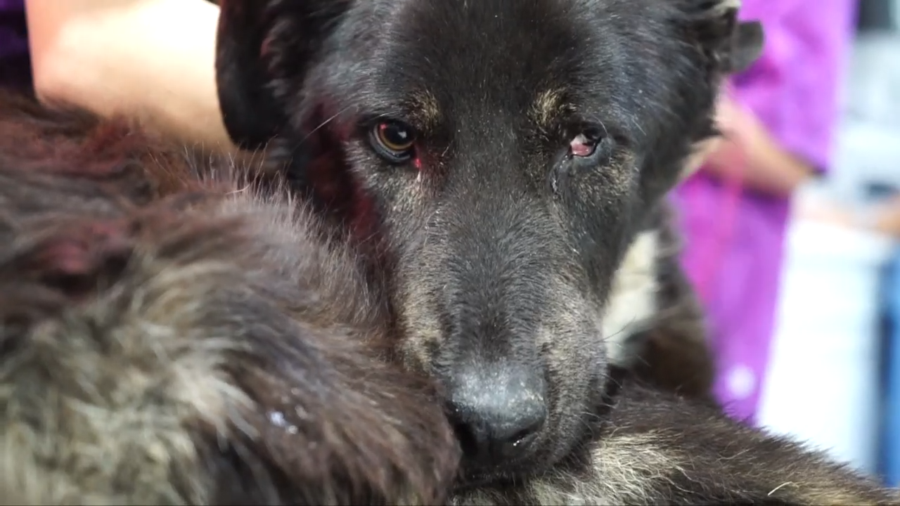 We were about to collapse… then this happened