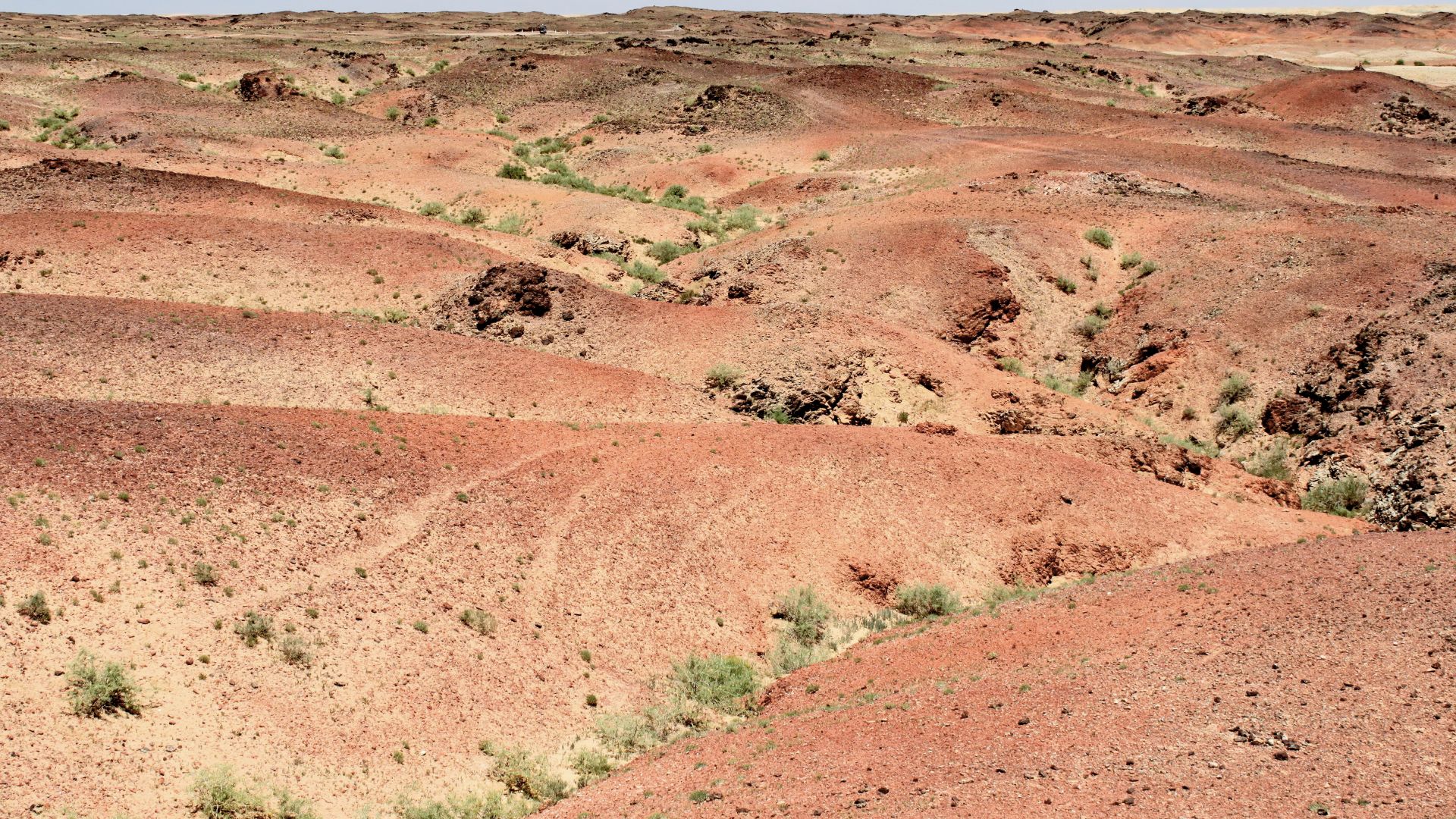 When an American explorer went to the Gobi Desert searching for ...