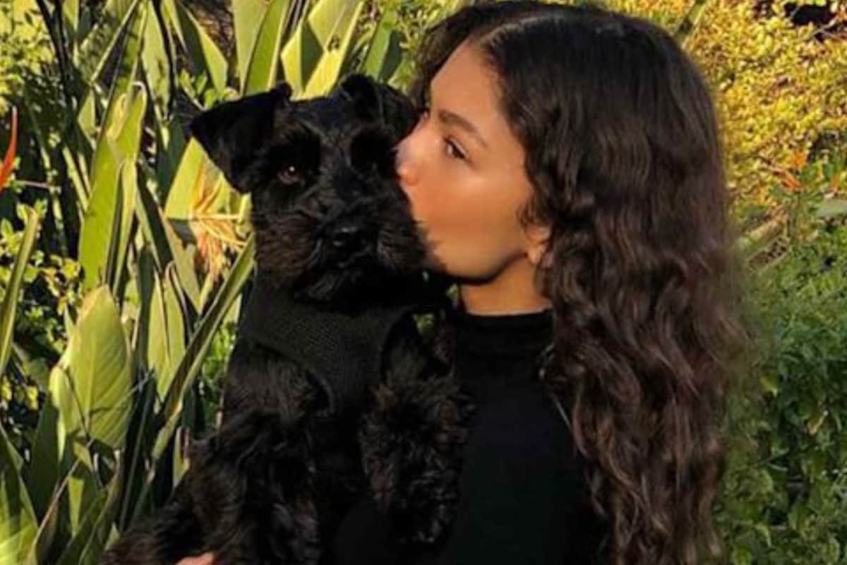 Zendaya says the most 'Hollywood' thing about her is how she treats her dog