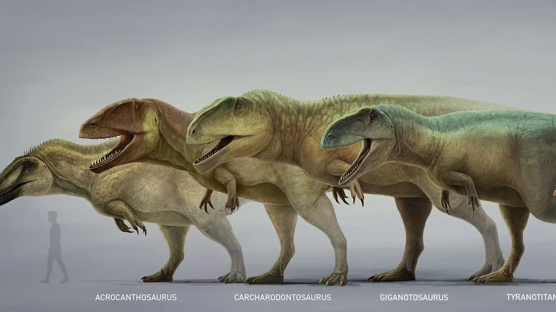 South America’s Cretaceous war zone - the dinosaur behind the chaos