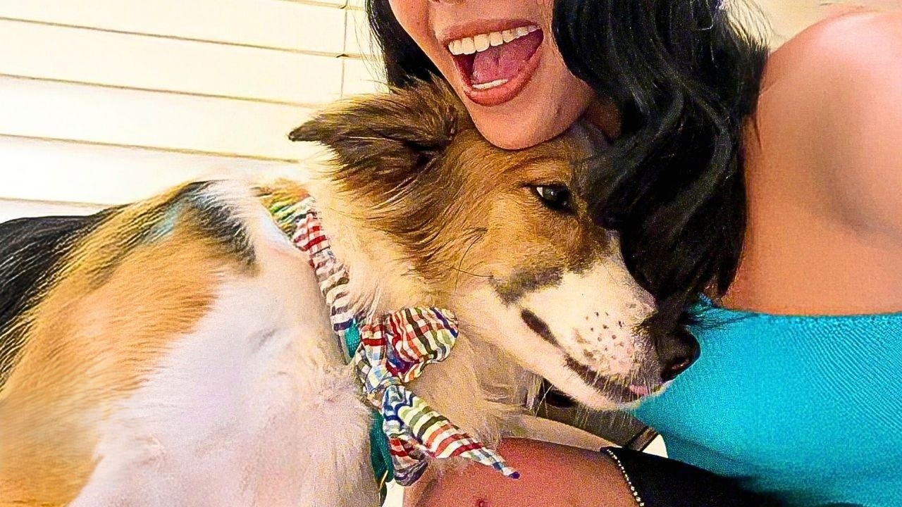 She planned to foster him - but this stray dog had other plans