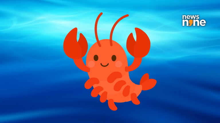 US launches AI agent standards push as autonomous tools like OpenClaw ...