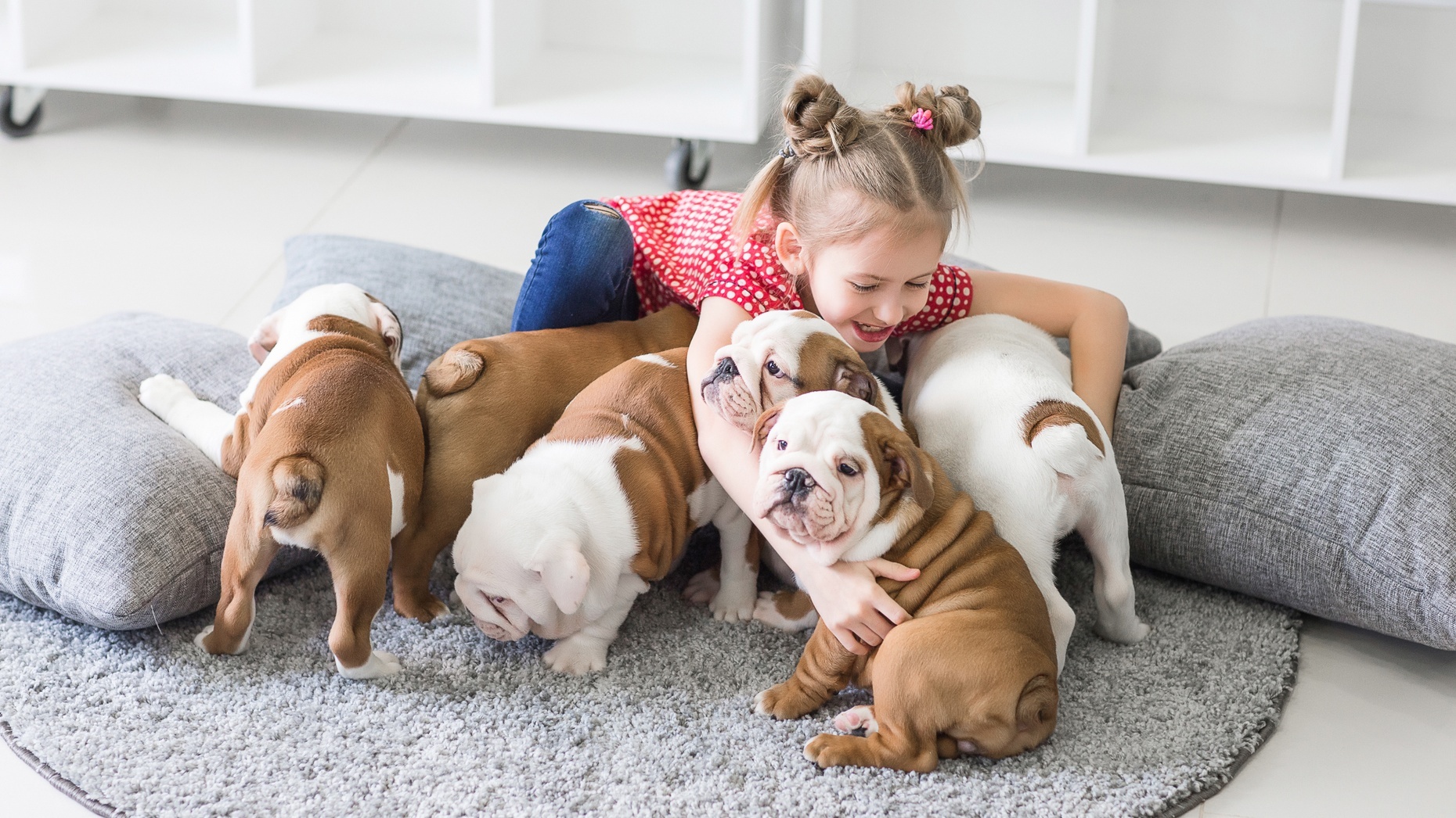 5 dog breeds perfect for families