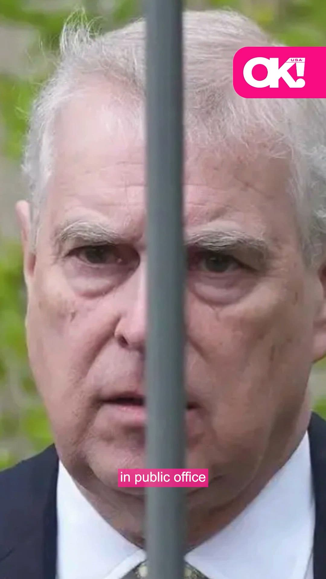 Ex-Prince Andrew's infamous viral car arrest photo hung at the Louvre ...