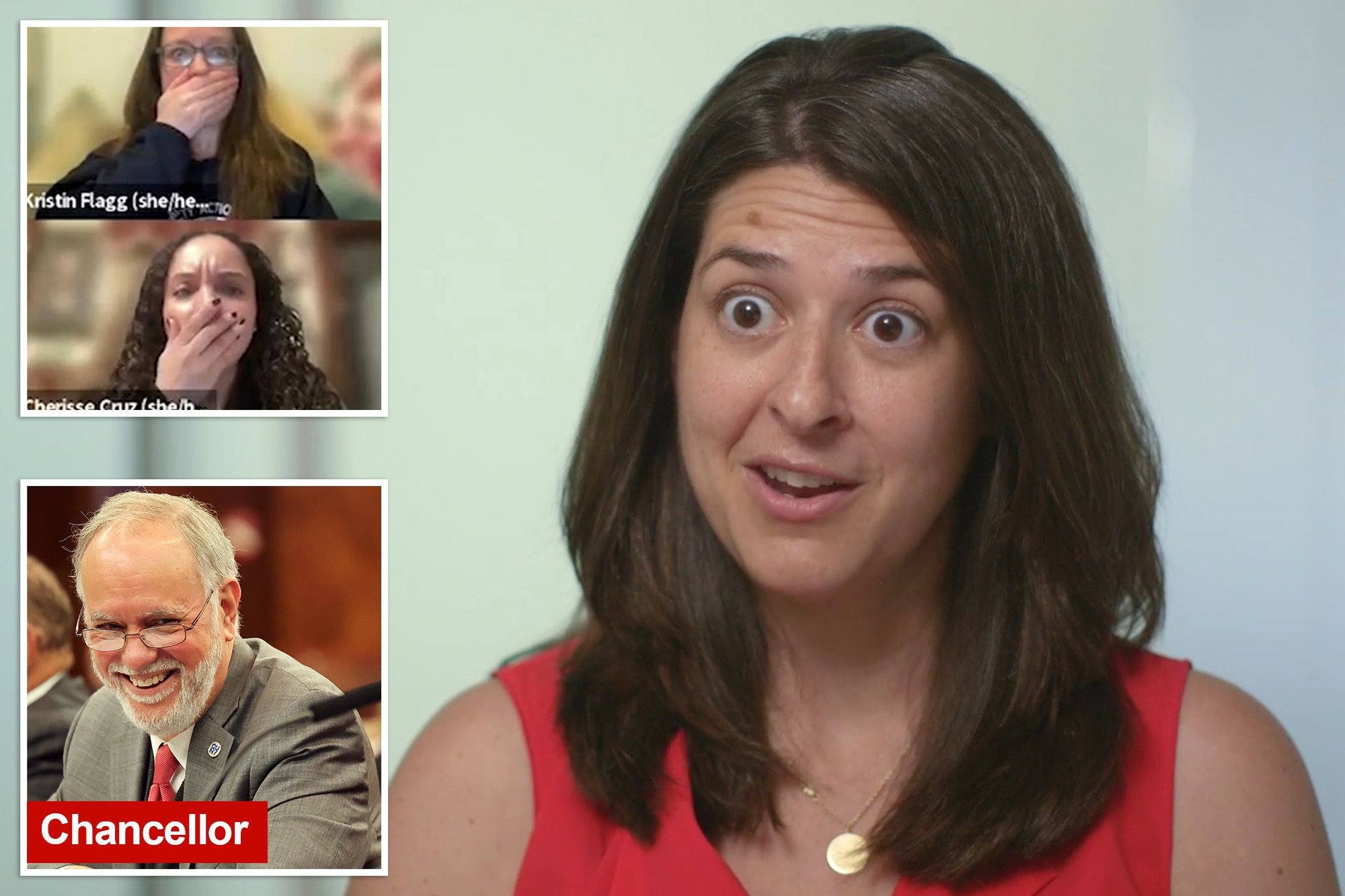 Hunter professor’s racist hot mic comments 'offensive and abhorrent ...