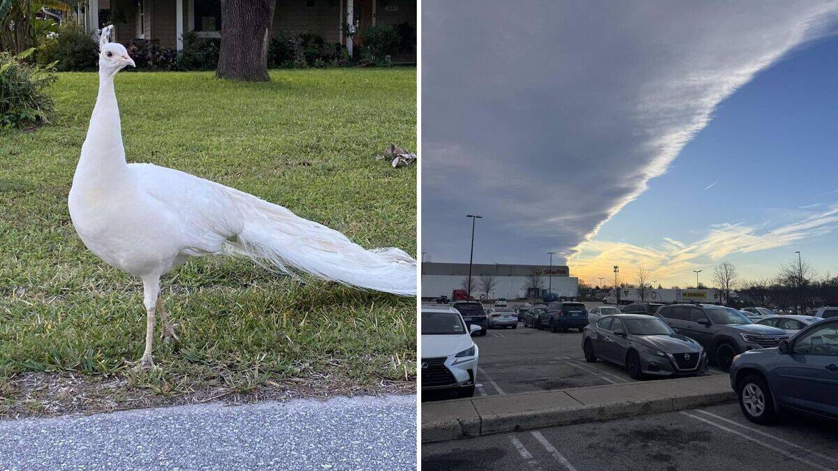 16 times people shared fascinating photos from their everyday lives
