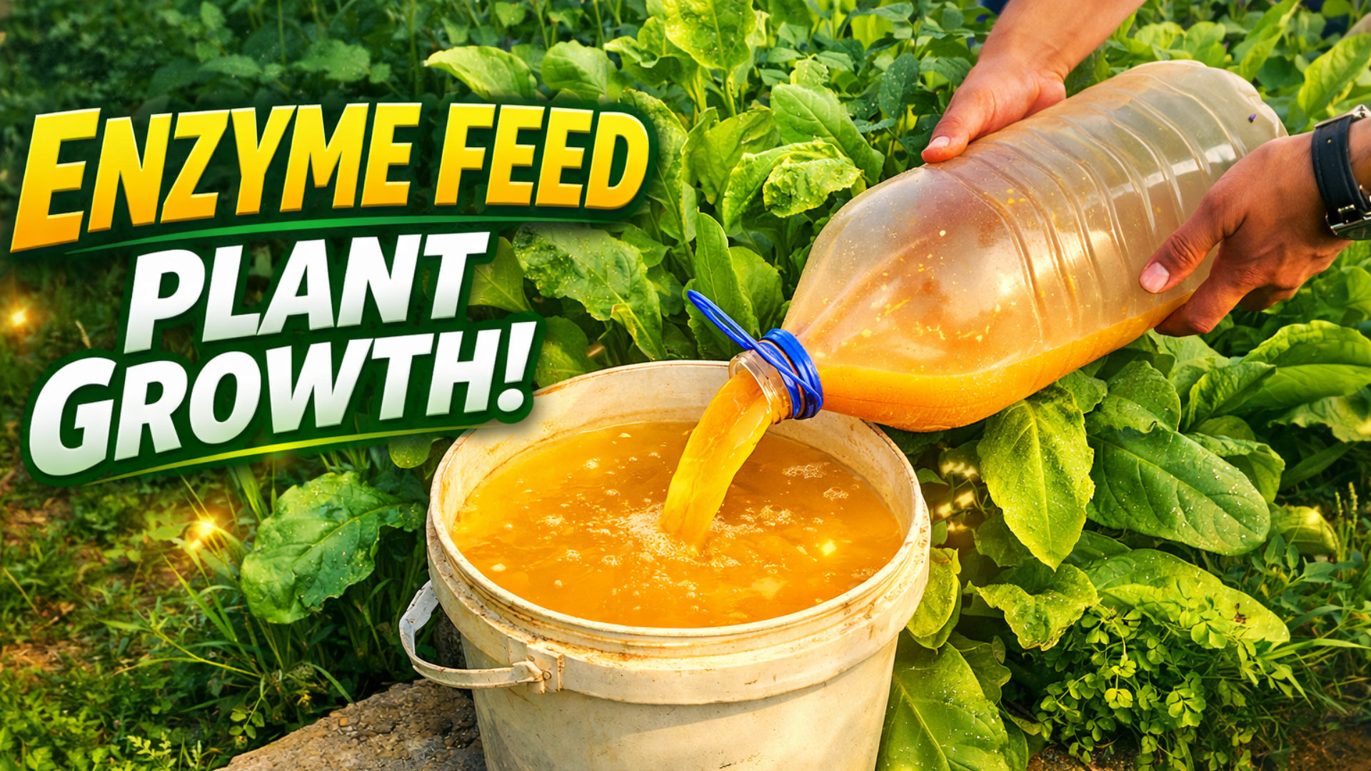 Homemade Plant Enzyme Experiment Unexpected Growth Results