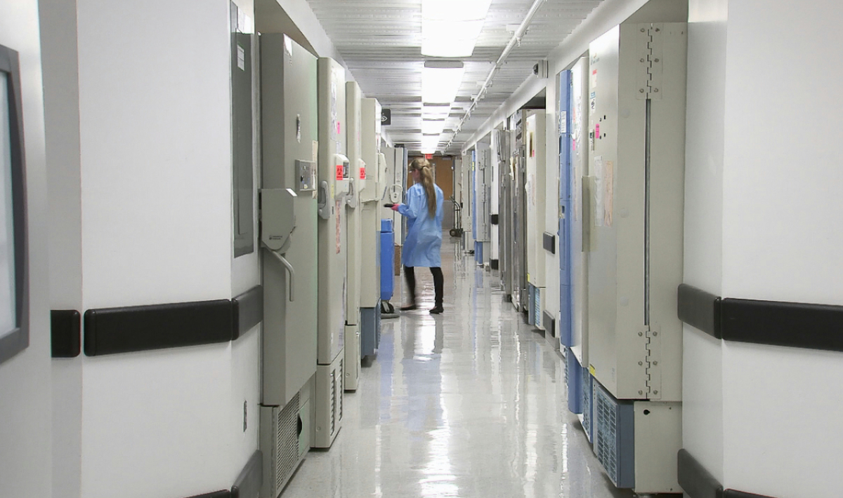 Τι είναι ο εμβολισμός ανευρύσματος στον οποίο υποβλήθηκε ο Γιώργος ...