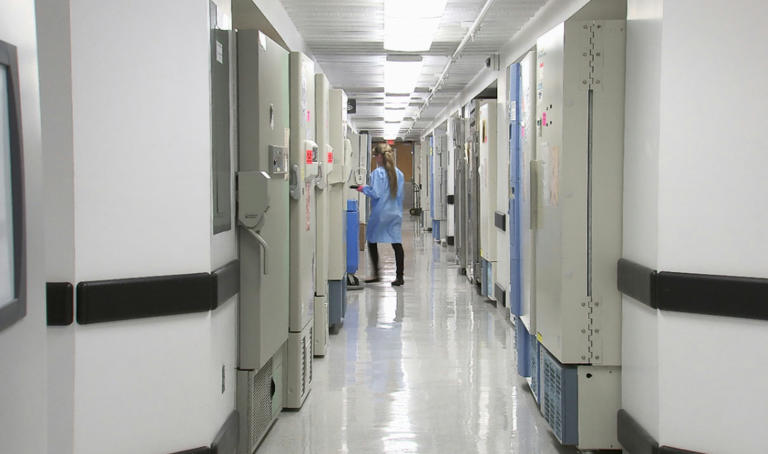 Τι είναι ο εμβολισμός ανευρύσματος στον οποίο υποβλήθηκε ο Γιώργος ...