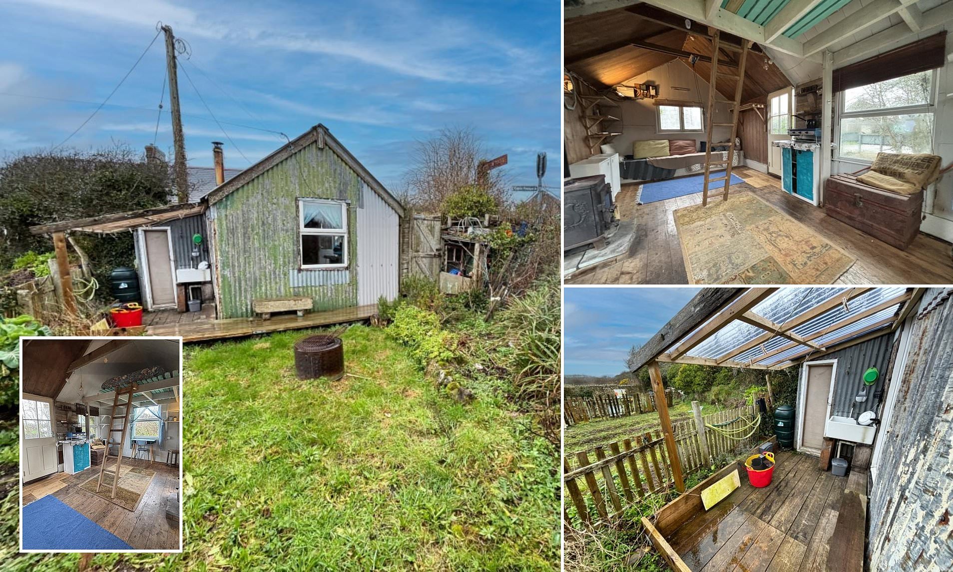 Cornwall shed owned by author Catrina Davies going under the hammer for ...