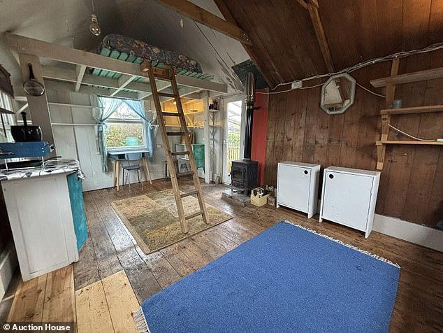 Cornwall shed owned by author Catrina Davies going under the hammer for ...