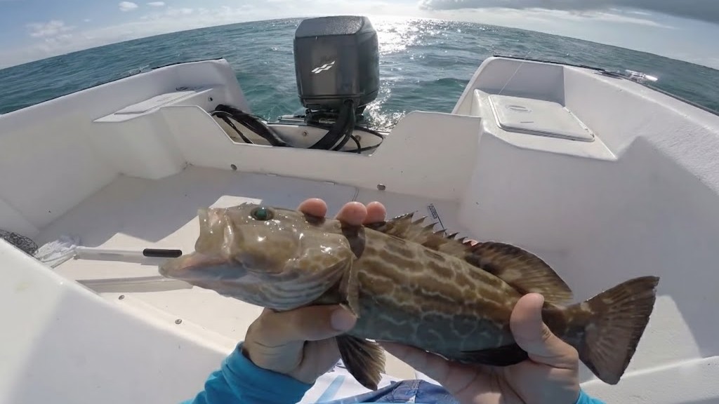 This is what happens when a calm day at Keys patch reef turns into ...