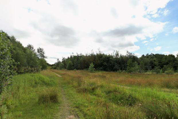 Police issue update after man found dead at beauty spot