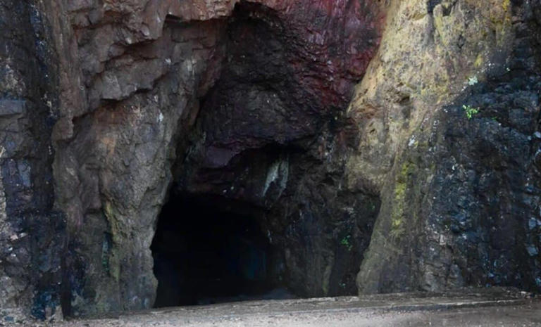 In 1940, a boy followed his dog into a tree hole and found a 17,000 ...