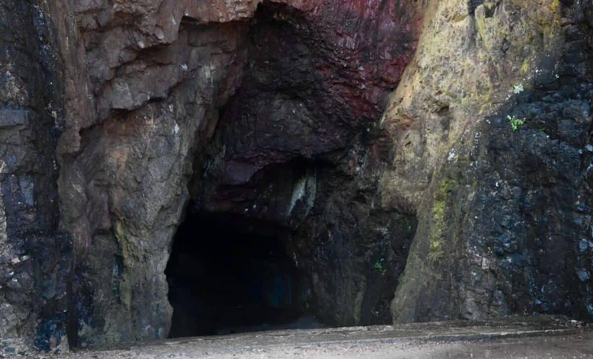 In 1940, a boy followed his dog into a tree hole and found a 17,000 ...