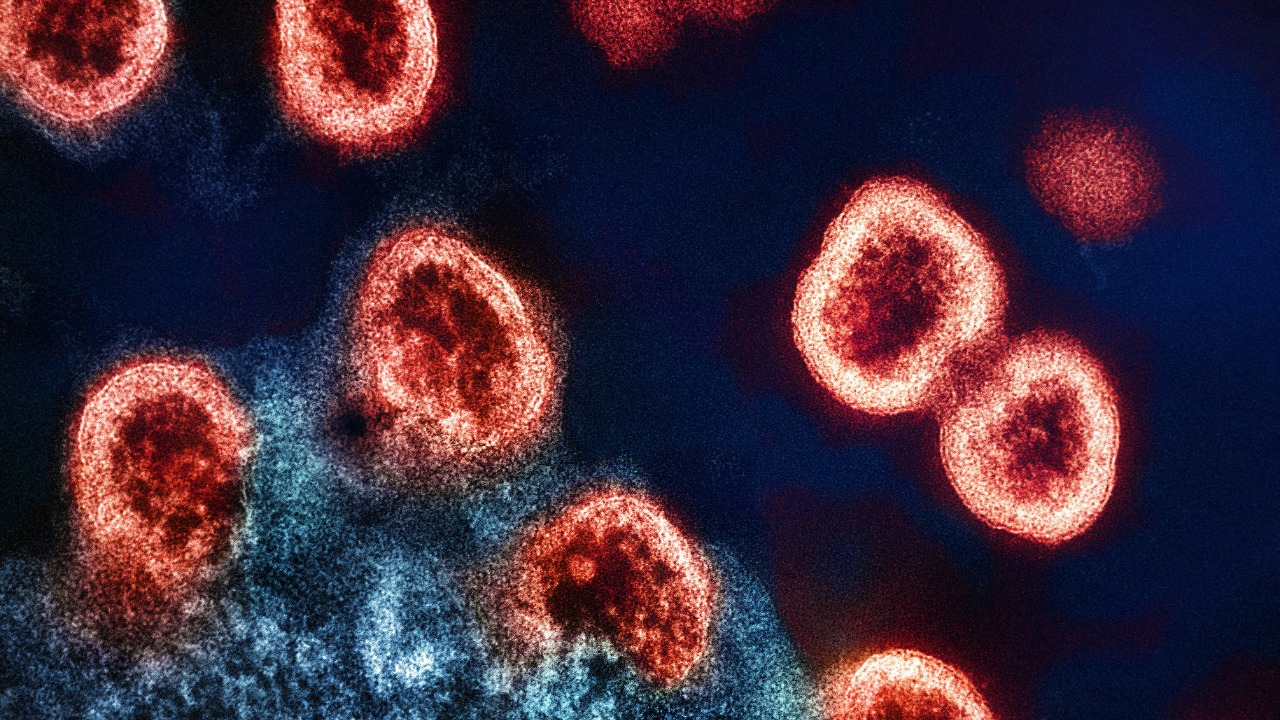 New study sparks hope for leukemia with under 5% survival odds