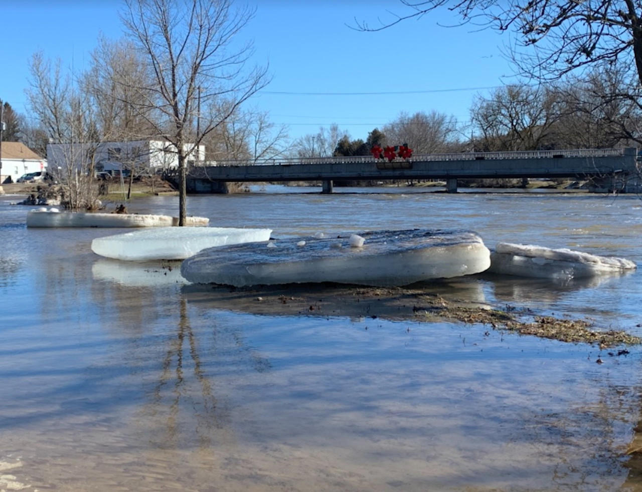 Grand River at risk: Spring thaw raises flood and ice jam concerns