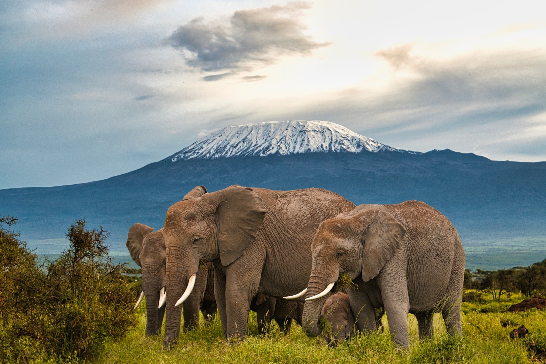 Hiking: 20 magical national parks to explore around the world
