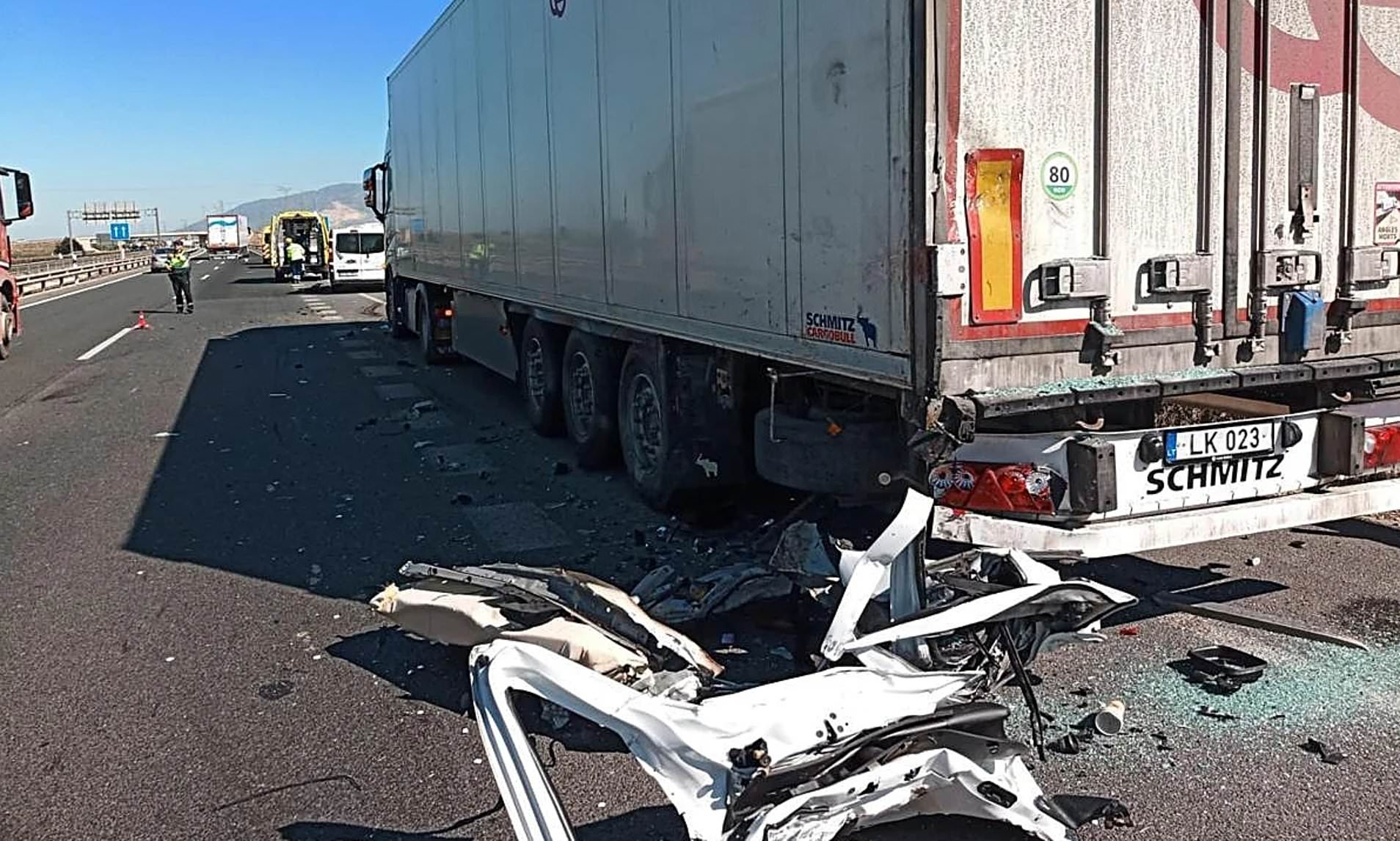 Brit mother, 42, is killed in front of her family after van ploughs ...