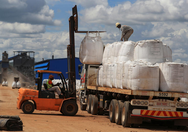 Zimbabwe imposes ban on exports of all raw minerals and lithium concentrate