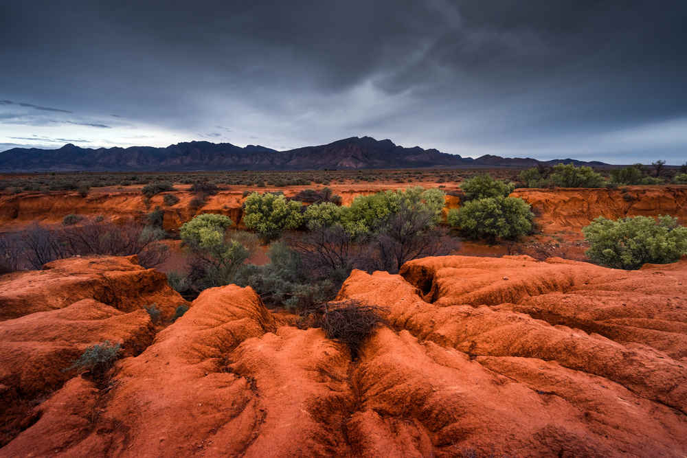 16 reasons to visit the Outback