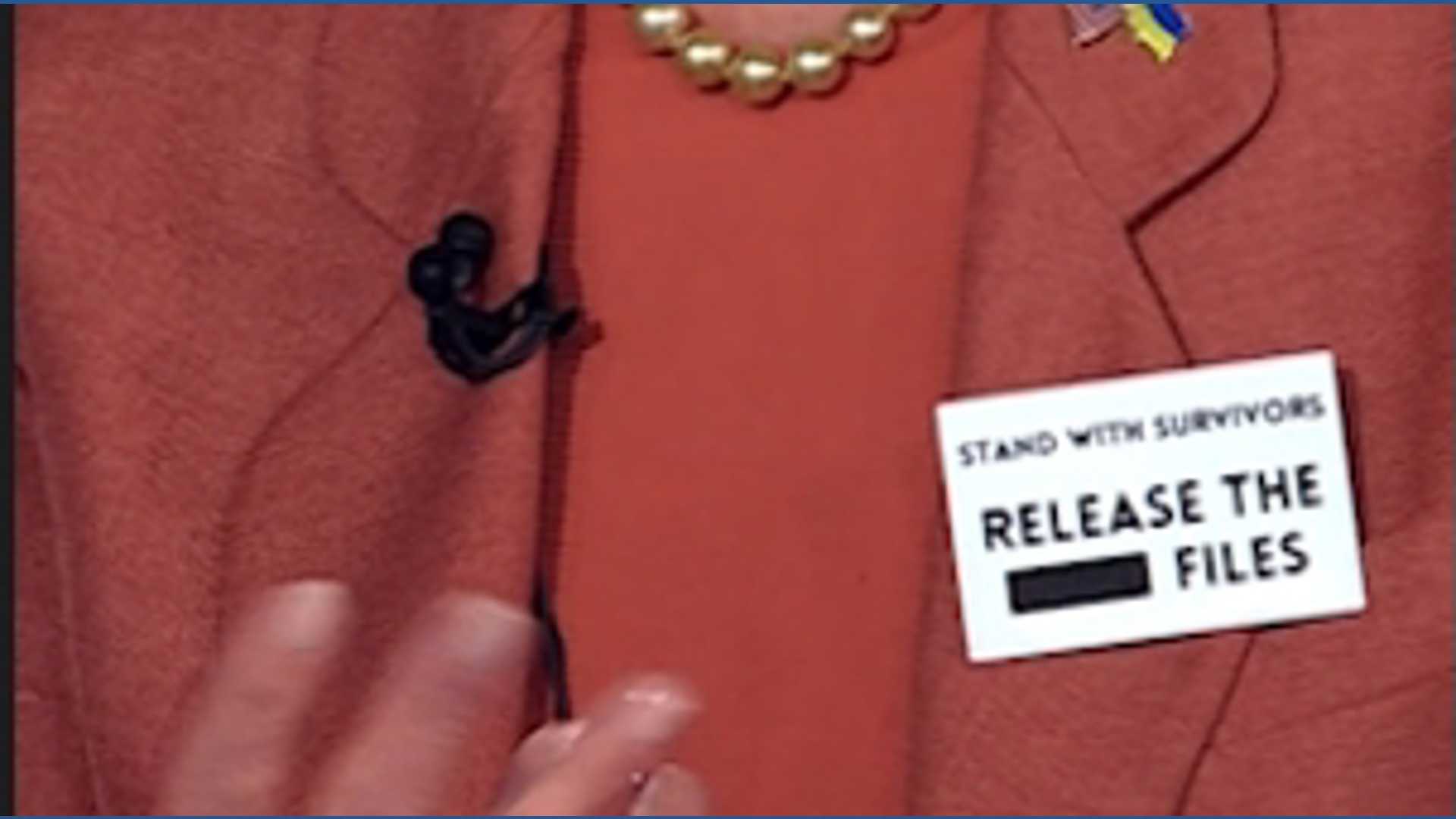 Nancy Pelosi on 'Release the Files' button