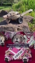 How robots will act like animals