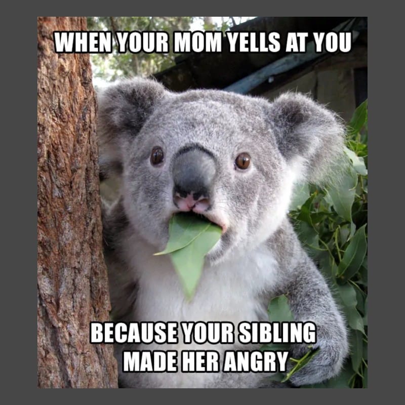 Siblings: Funny, frustrating, totally relatable