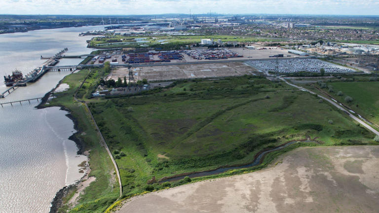 Plans for major port expansion are approved