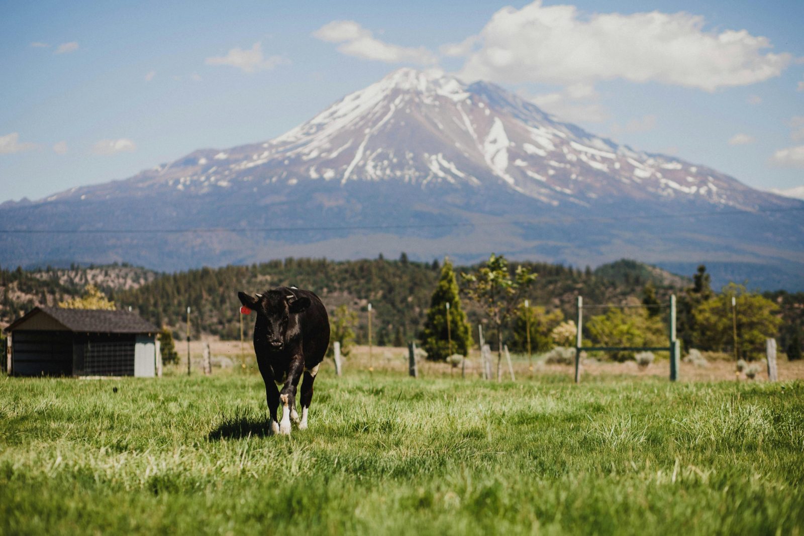 10 most advanced hiking trails in the US & 10 everyone should try