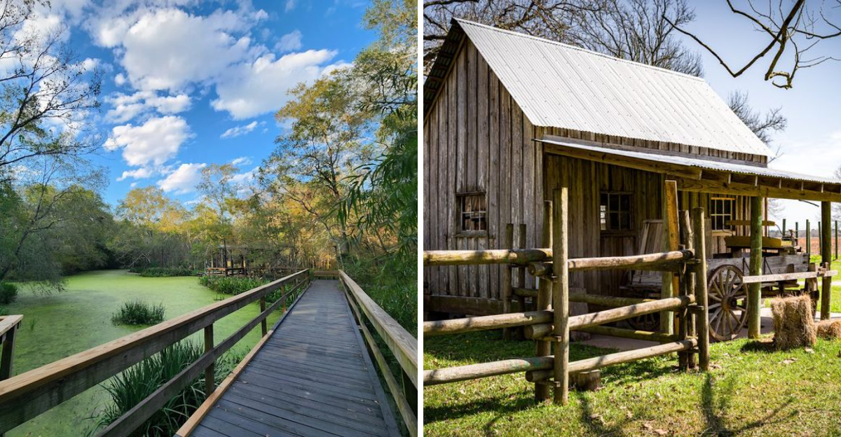 Texas preserve where you can hike through coastal wetlands and forest ...