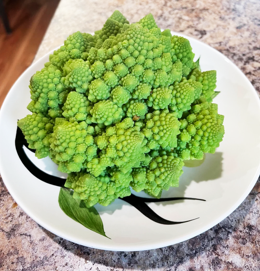 15 perfectly symmetrical things found in the wild that look man-made