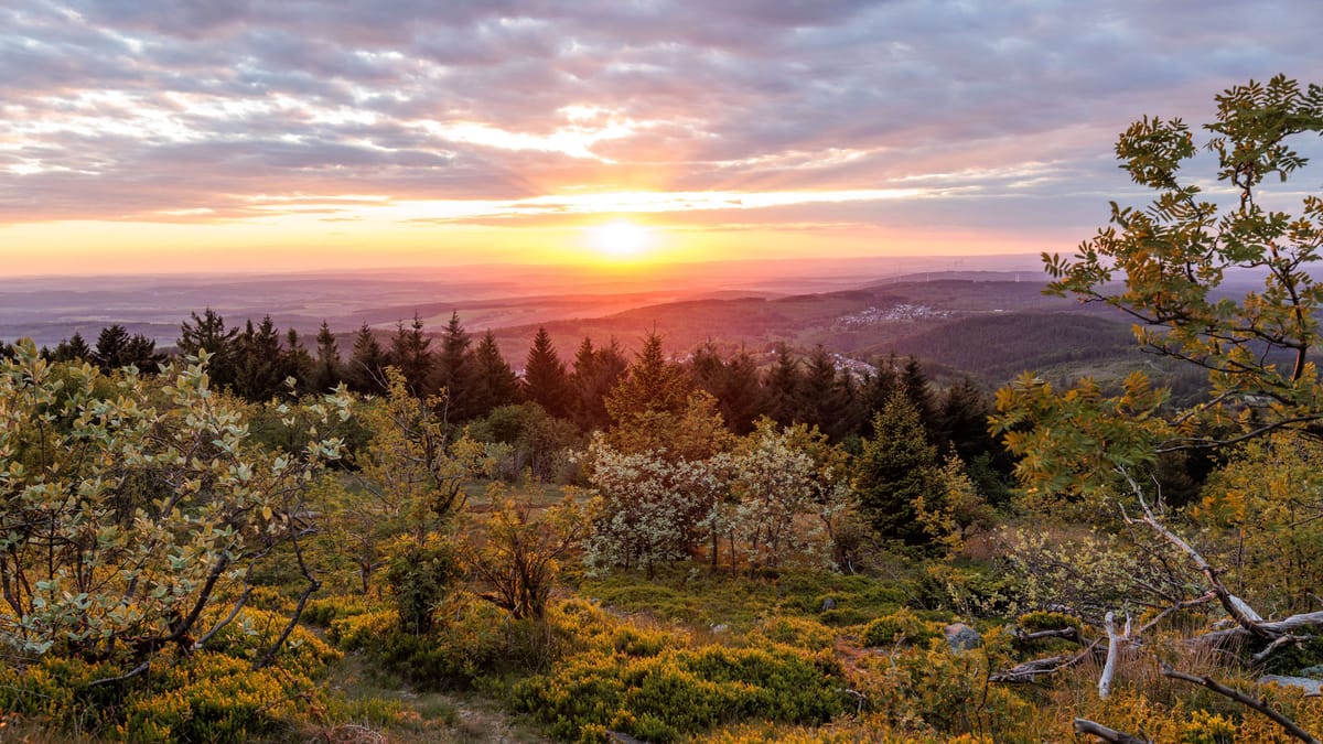 Taunus statt Alpen: Am Großen Feldberg wartet das Mini-Berchtesgaden
