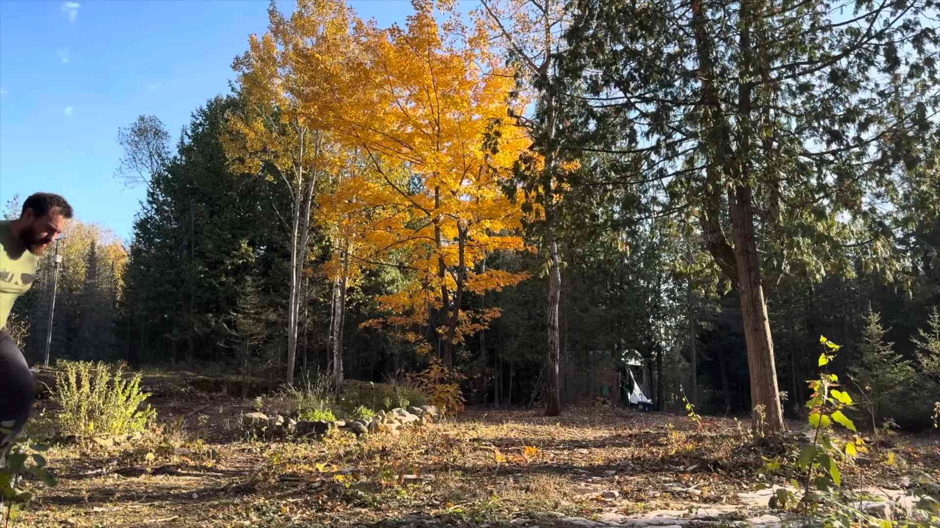 Is this the best Bigfoot evidence or just a suit?