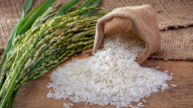 Which country is known as the land of rice?