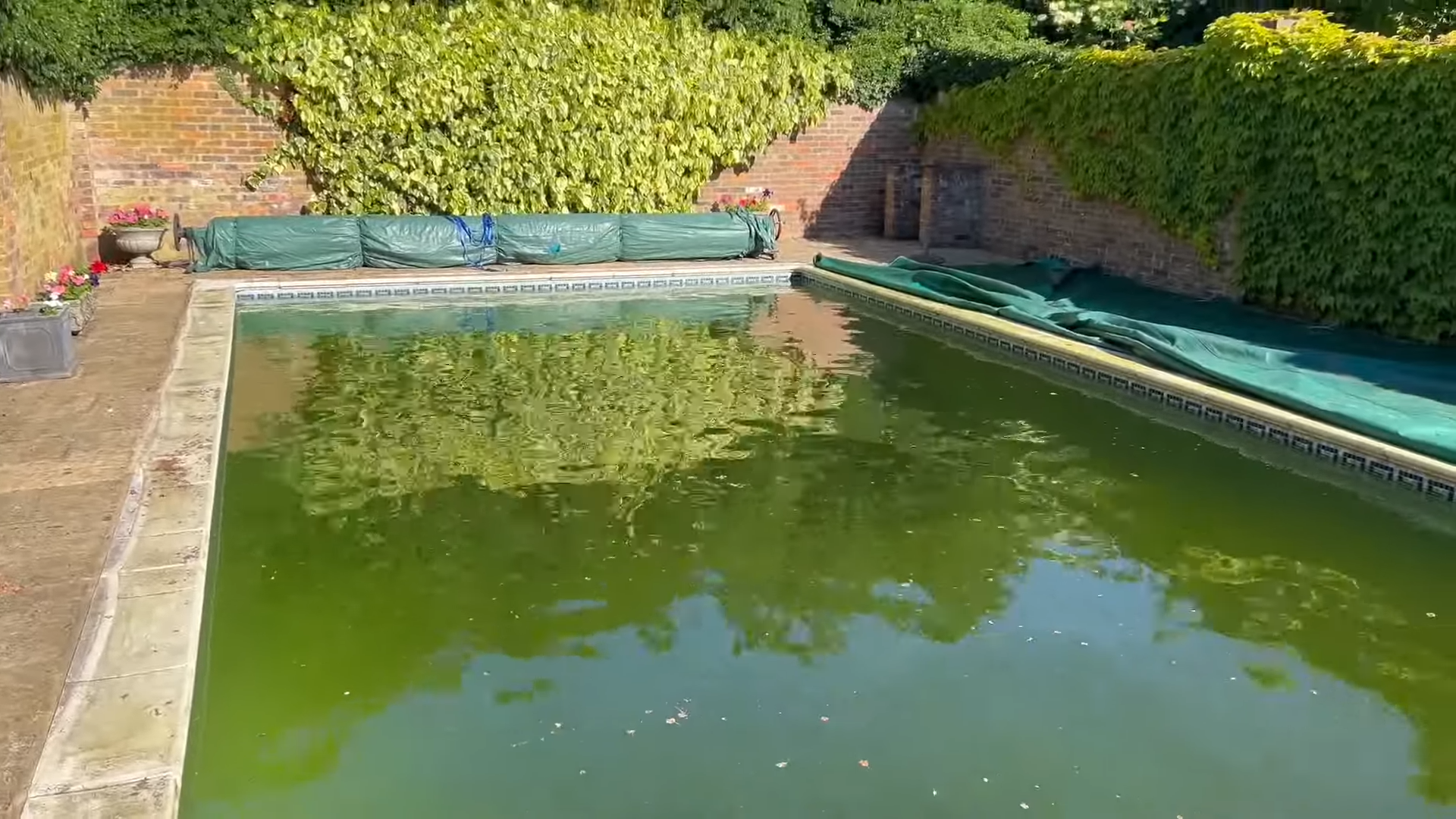 How this swamp pool became swim-ready again