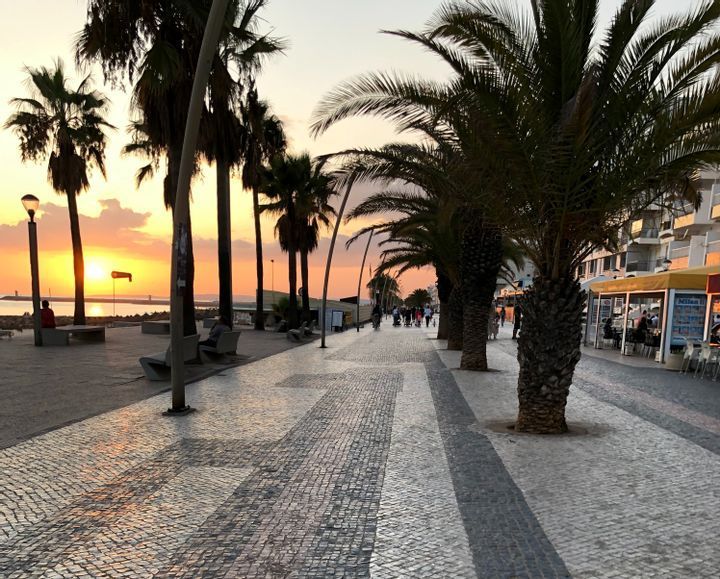 He saved a tiny squirrel and nothing stayed the same